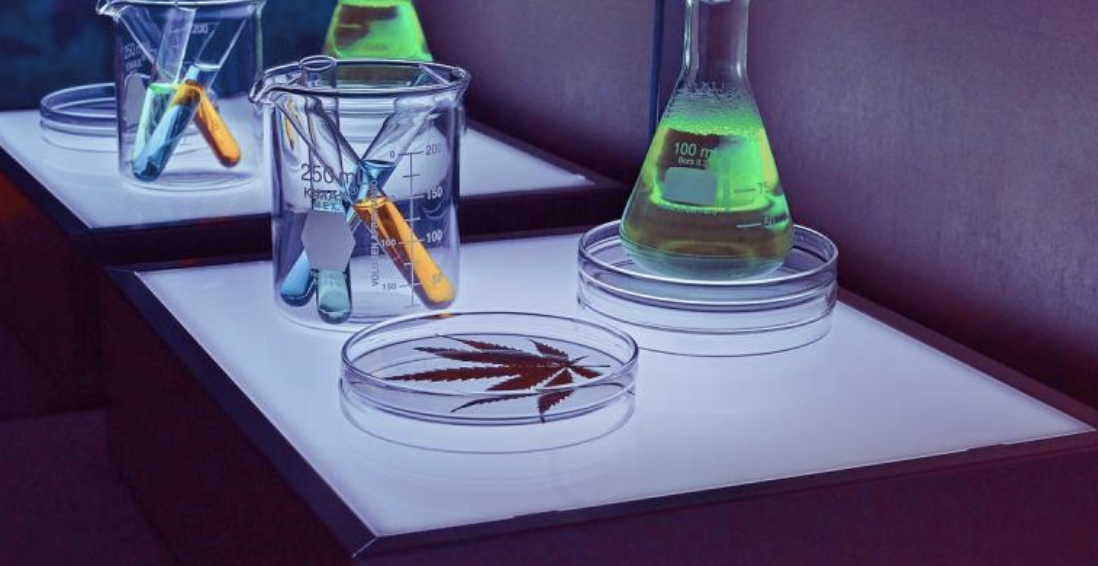 Mysticism & Science | Center for MINDS